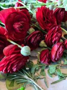 How to Grow Ranunculus and Anemone From Corms – Bloom