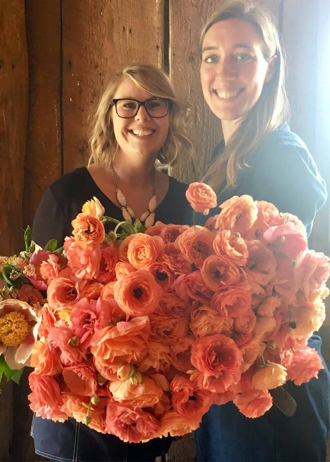 The Story of Bloom, Part 1: The Dream – Bloom